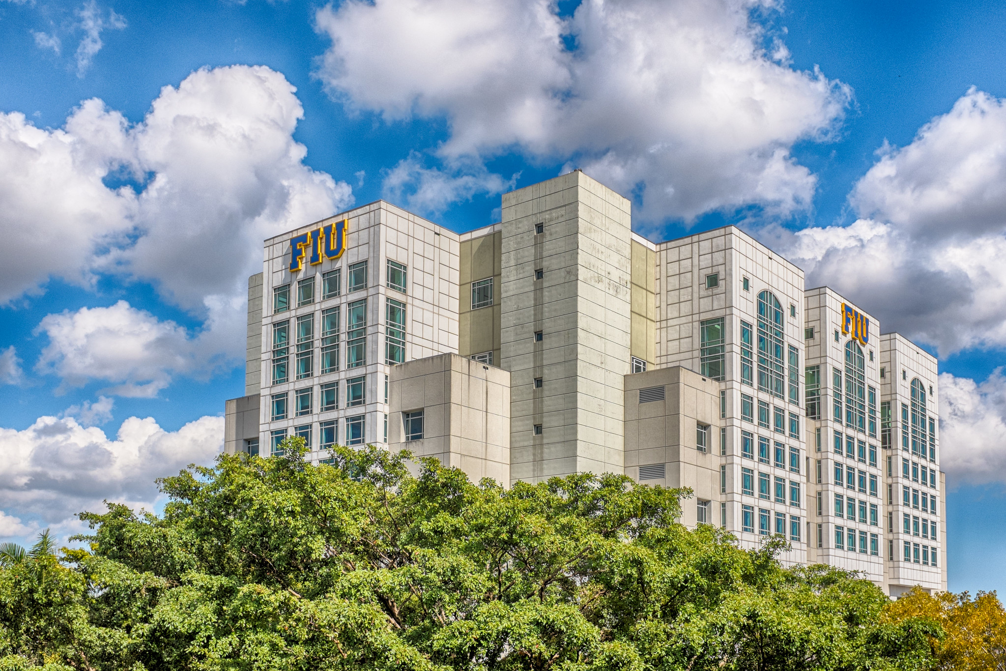 Human Resource Policy and Management | Department of Public Policy ...